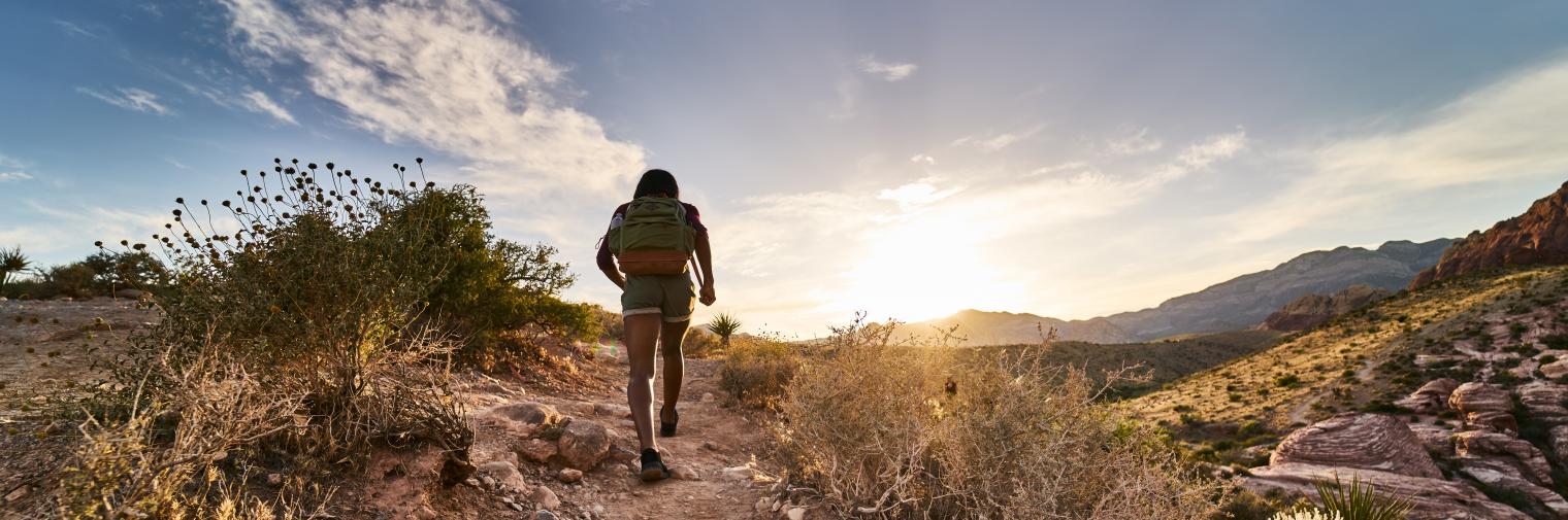 Hiking Is a Hobby Enjoyed By Many People - FindIt101.com
