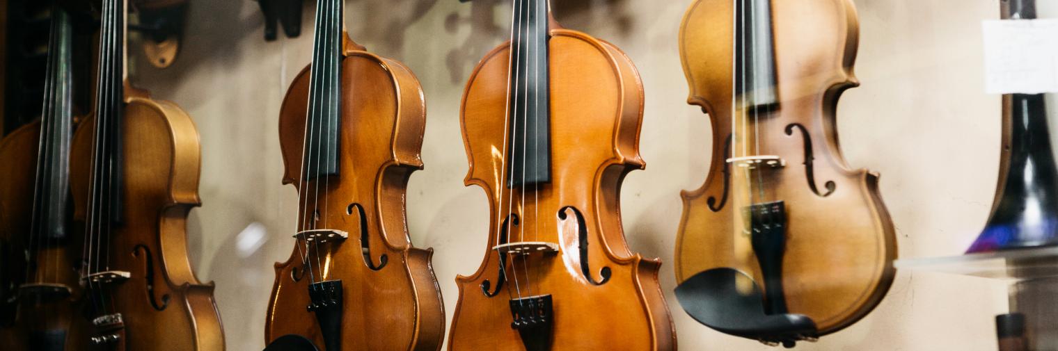 The Musically Inclined Have Many String Instruments To Choose From ...